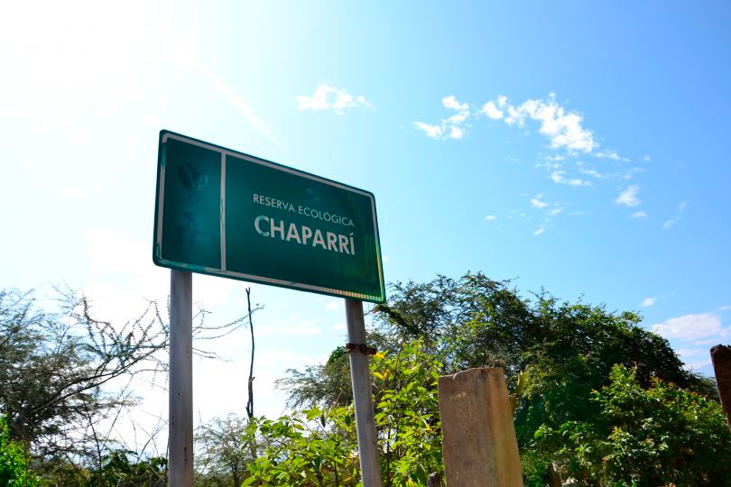 Leisa - Chaparrí: una exitosa reserva ecológica comunal que ahora está ...